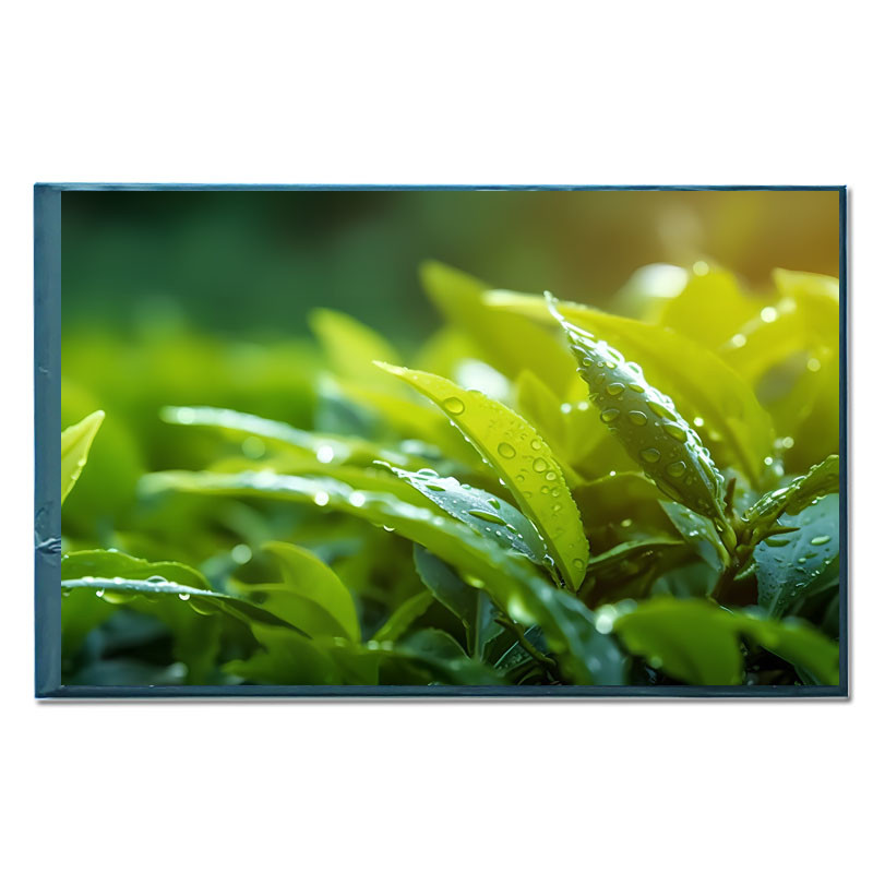 IPS 8 Inch TFT LCD Monitor Module MIPI Interface Medical LCD Monitor